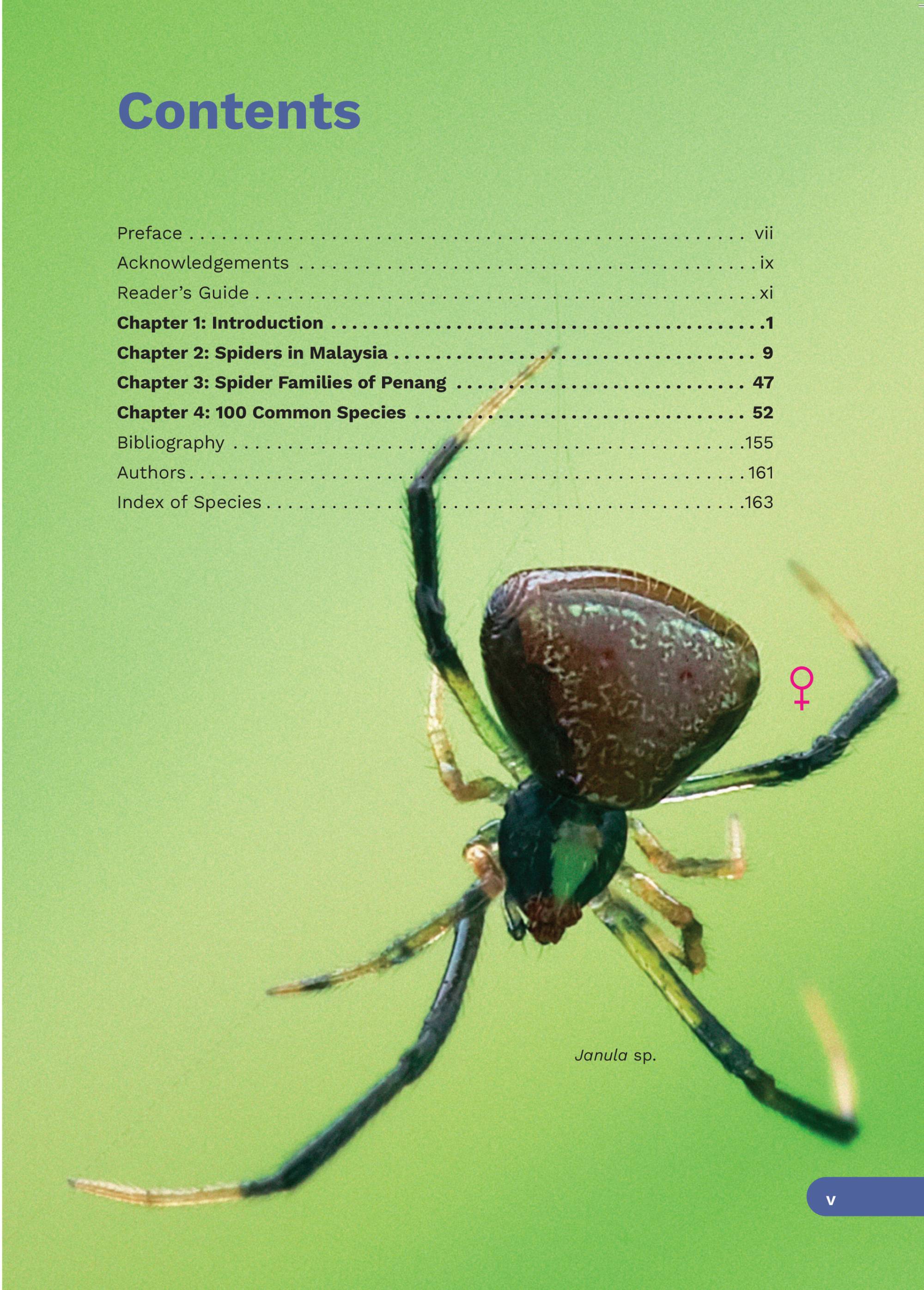 Spiders: 100 Common Species in Penang