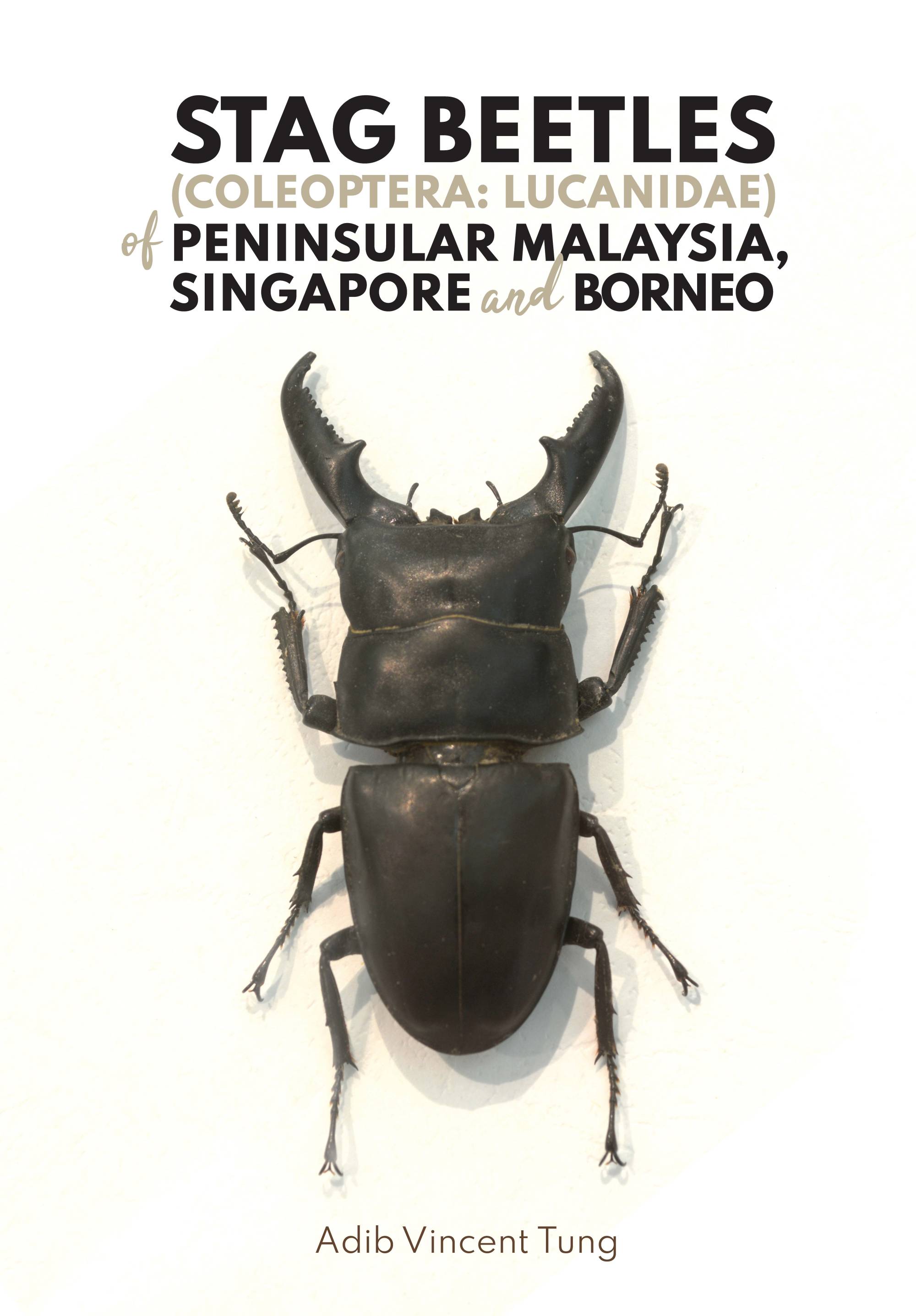 Stag Beetles (Coleoptera: Lucanidae) of Peninsular Malaysia, Singapore ...