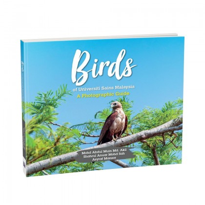 Birds of Universiti Sains Malaysia: A Photographic Guide | Emdash.my